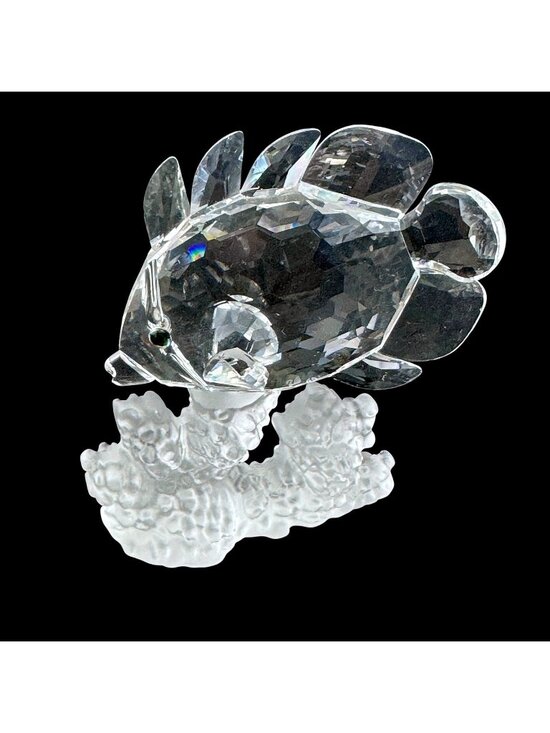 Swarovski | Accents | Swarovski Crystal Butterfly Fish On Coral ...